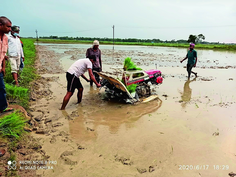 Paddy transplant can transplant paddy in two hours in one acre | सुविधा ...