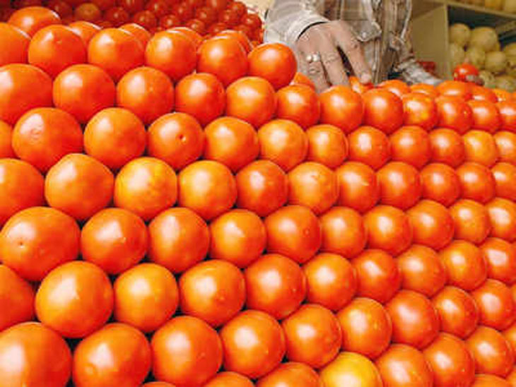 The demand for red tomatoes in the state increased suddenly, more ...