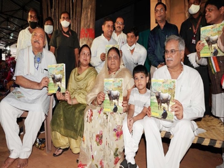 Government will give loan to Vermi Compost Gauthan Committees five ...