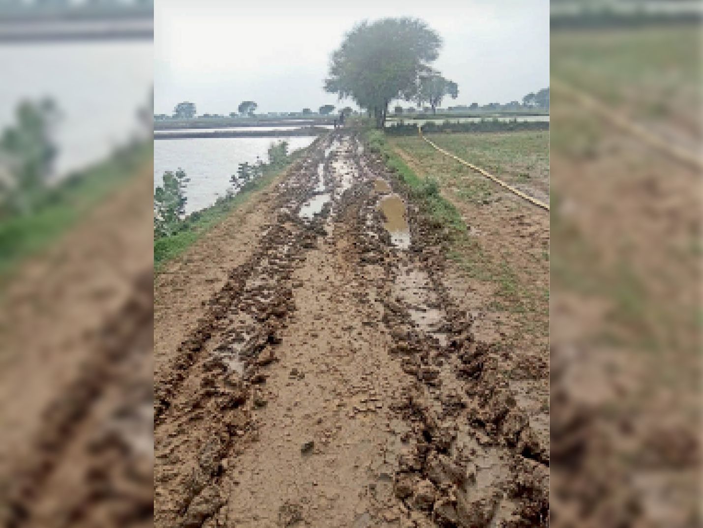 Rain cut the road, three villagers will remain imprisoned in homes for ...