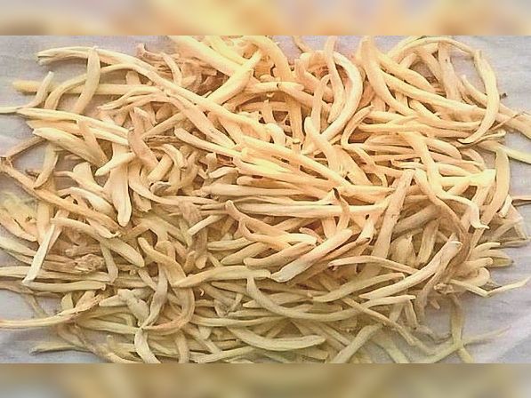 On the lines of Madhya Pradesh, farmers are enjoying the cultivation of ...