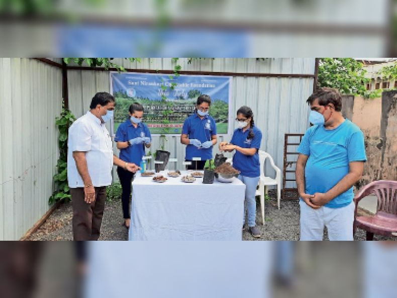 Door to door germination campaign: Distributed neem, berries, acacia ...