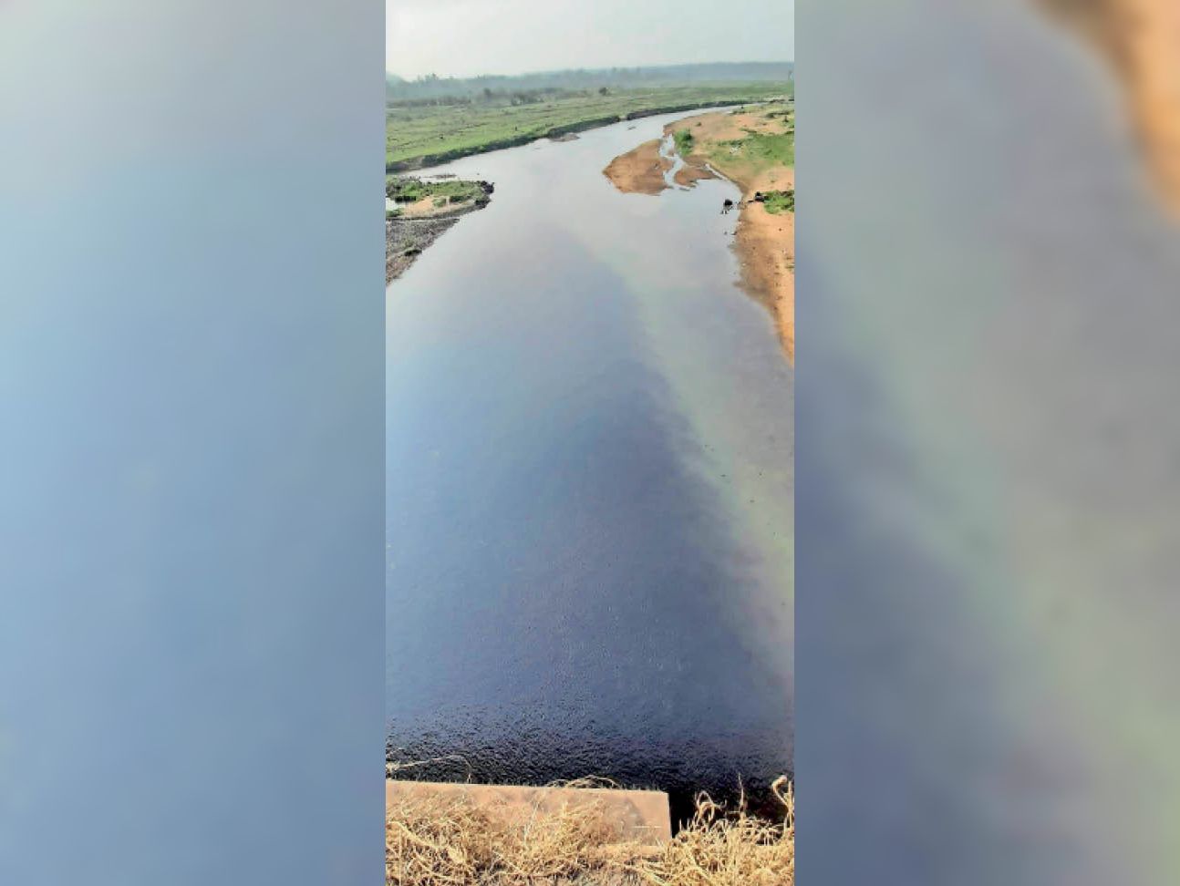 Hasdev river being polluted due to release of dirty water of Kusmunda ...