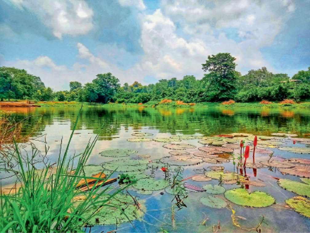 After the rain, the beauty of the big pond is attracted | गोइलकेरा में ...