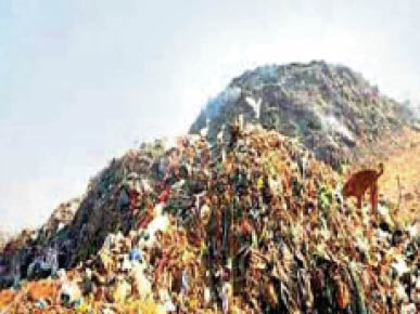 Waste processing of 7 other cities of 80 km radius along with Bhopal ...
