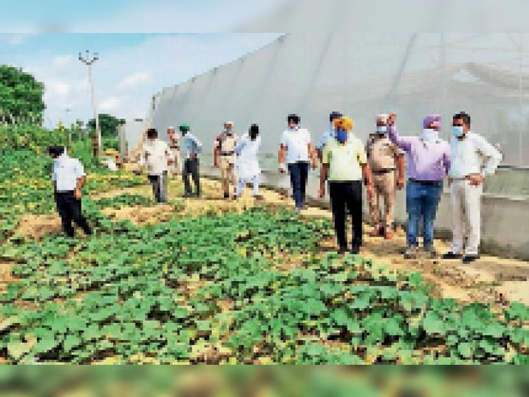 Farmers must grow grains and vegetables at least for their families in ...