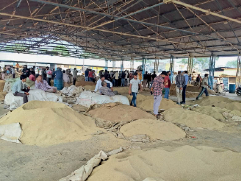 Weather: Only 18 thousand sacks arrive in the agricultural market | आज ...
