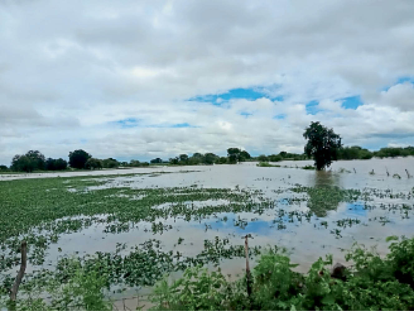 Due to heavy rains in Madhya Pradesh, Parvati river is in spate, water ...