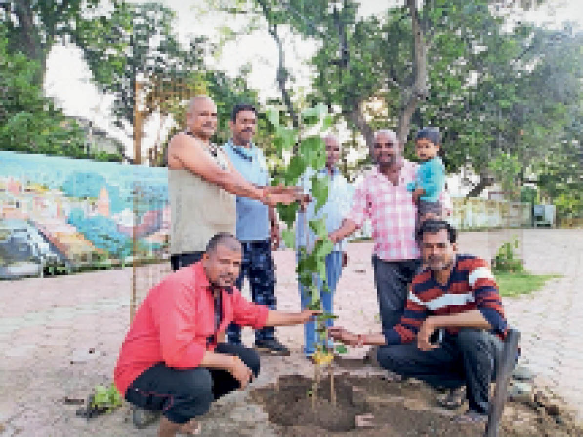 Planting saplings in memory of parents, planting saplings in memory of ...