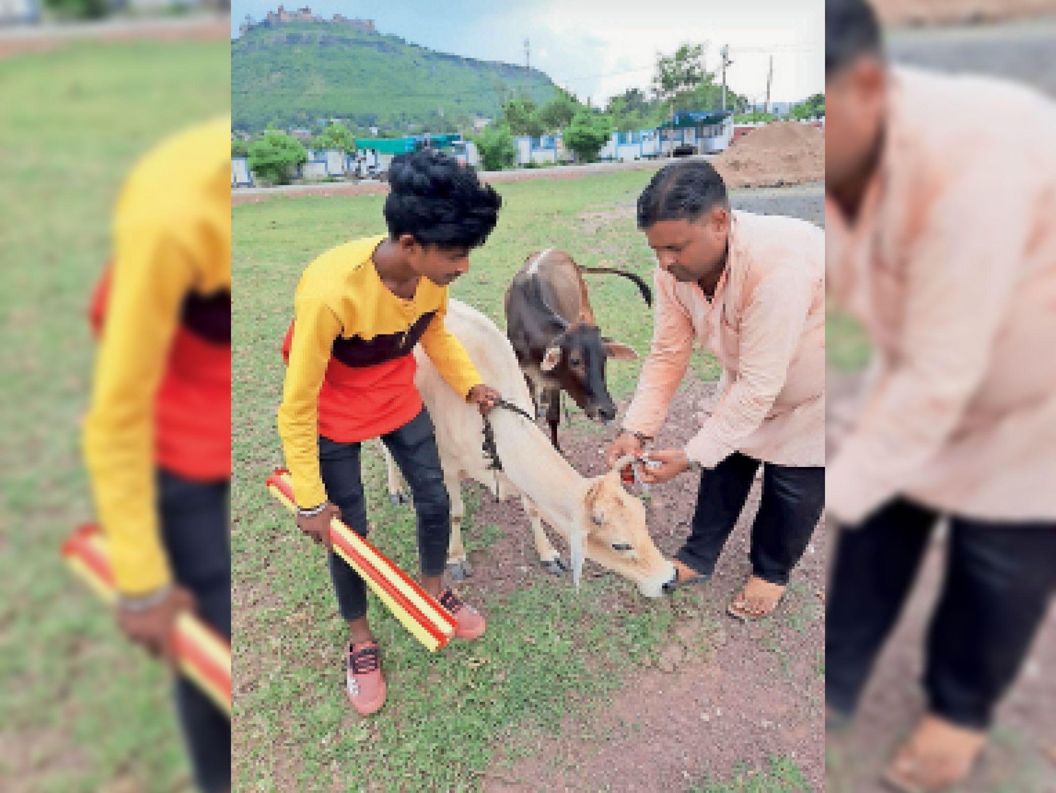 If there are no accidents, then the radium bandage placed in the horns ...