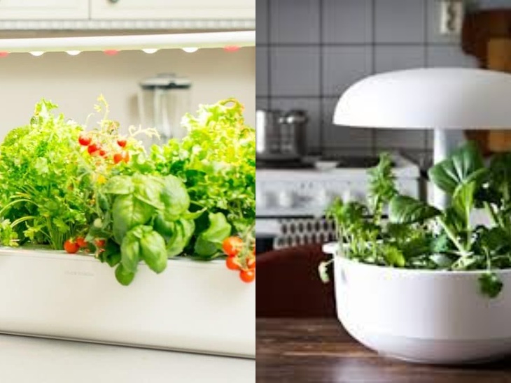 These 3 smart pots, click and grow smart garden are helpful in indoor ...