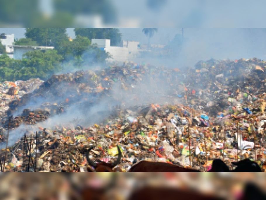 Fire in garbage, smoke becomes difficult to breathe | मुक्तिधाम: कचरे ...