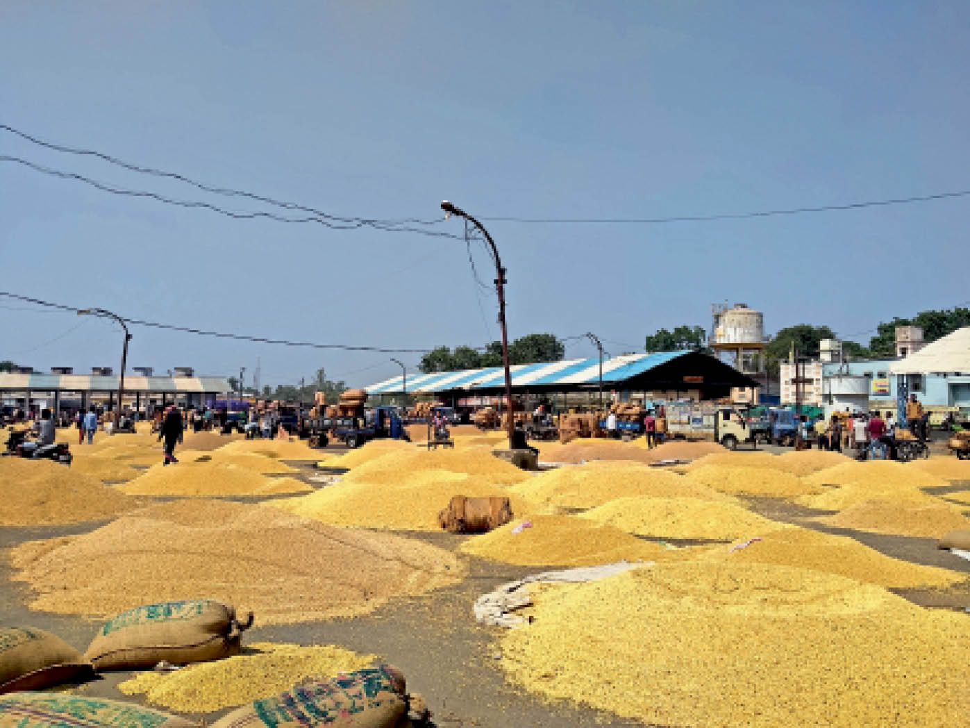 On the third day, the market yielded 30 thousand sacks, soybean, garlic ...