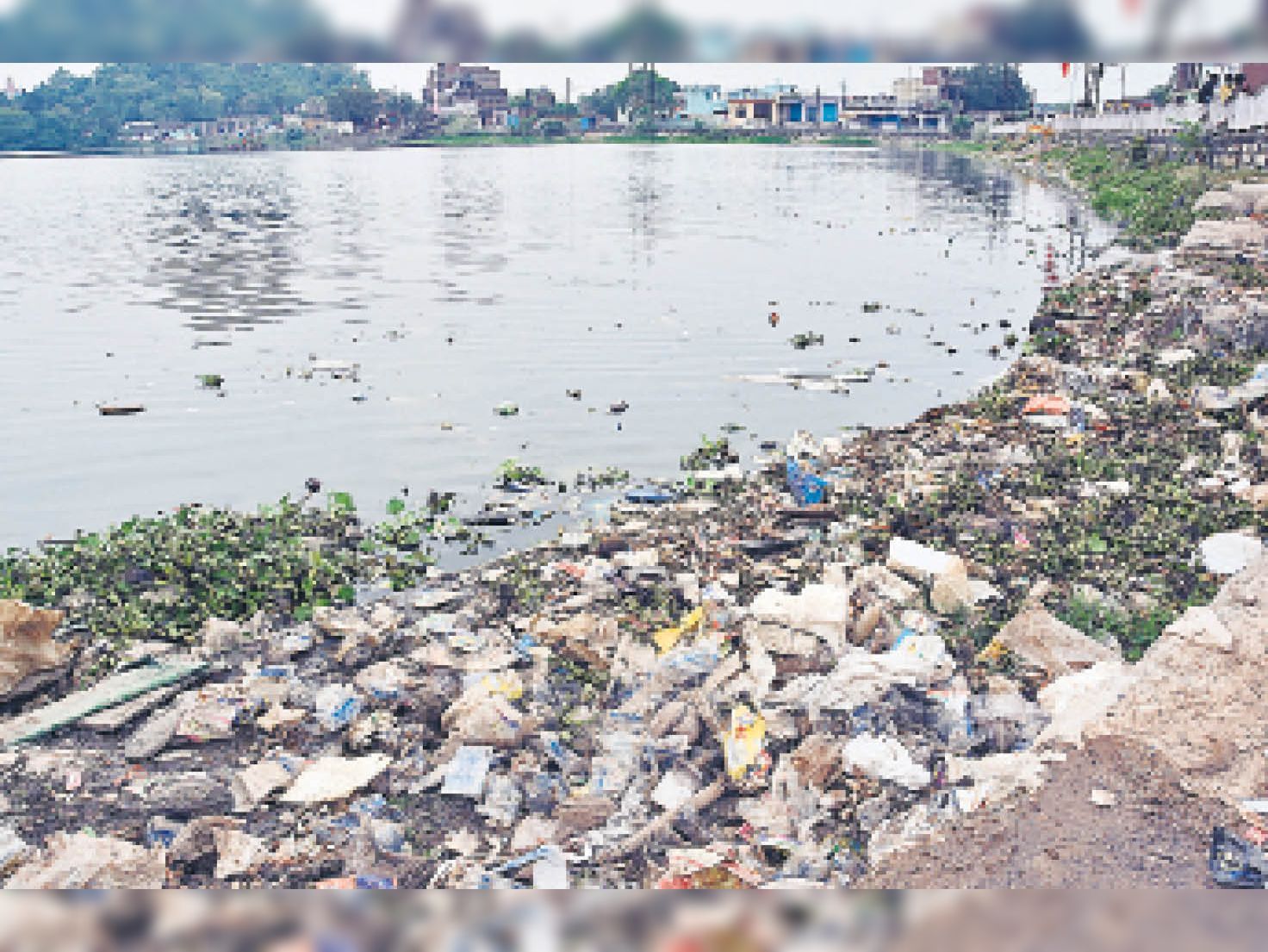 The same pond, which has been transformed for tourism, has now turned ...