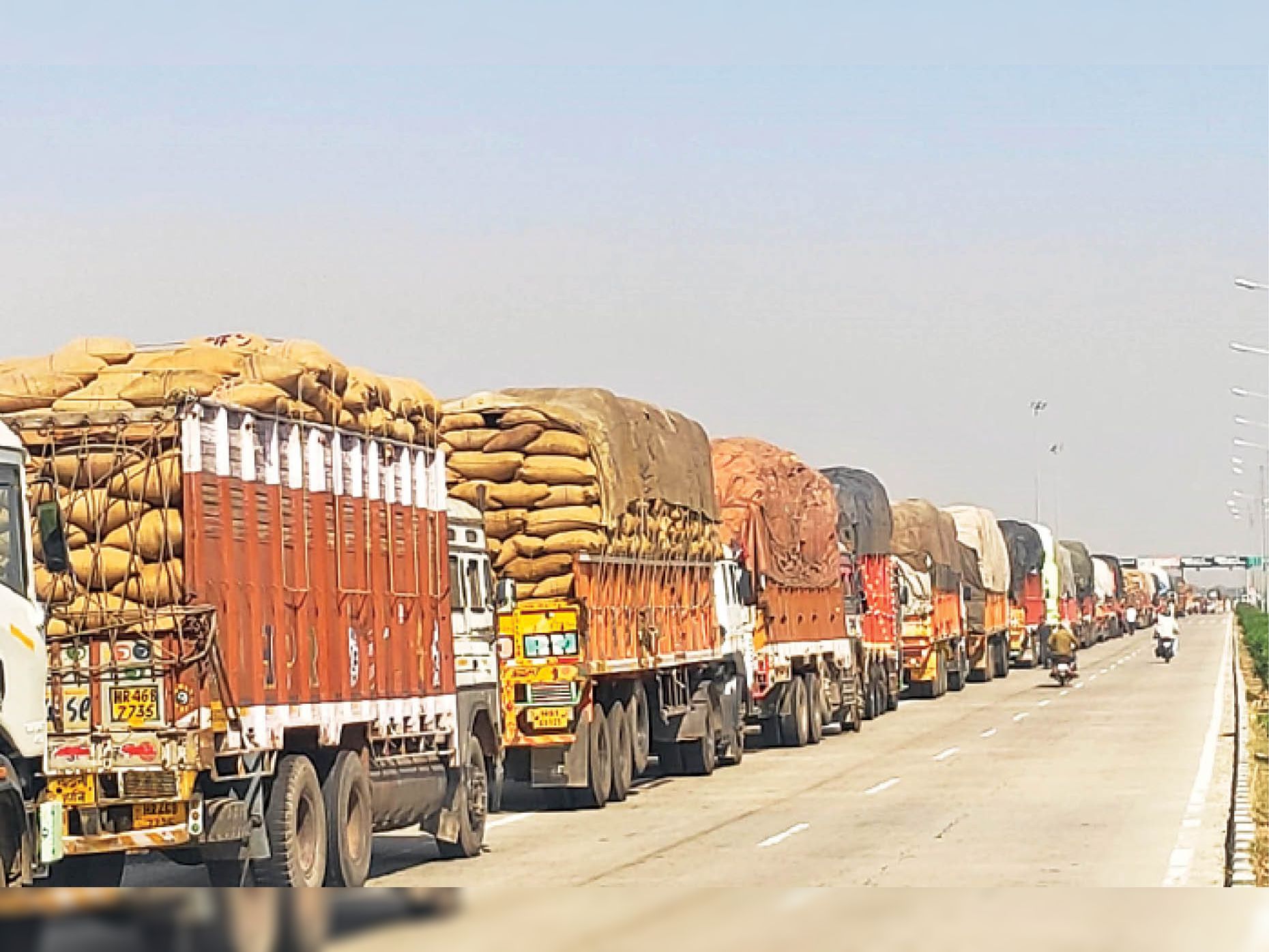 Farmers haul 100 trucks of paddy from outside states in Punjab | अवैध ...