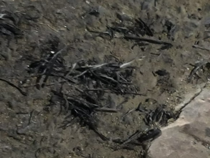 Viral photos of falling ash from sky goes viral on social media in ...