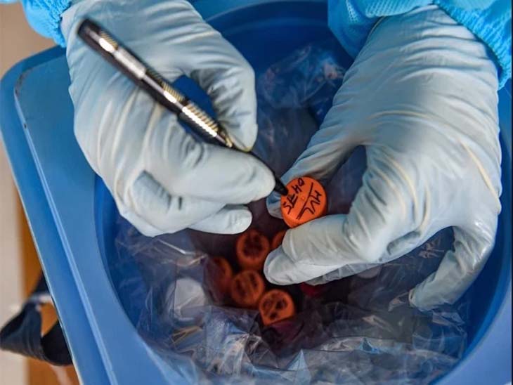 Fake lab operator presented in court and taken on remand for two days ...