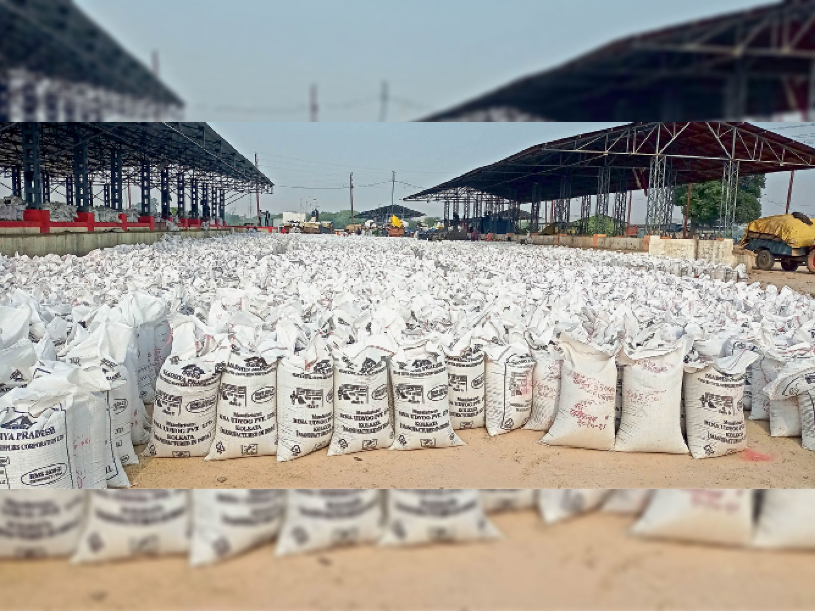 Ten thousand sacks of millet kept in the open, rain forecast in 24 ...