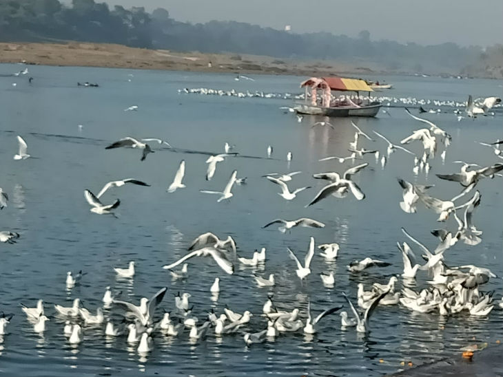 Cyclone over Rajasthan changed weather in Jabalpur, temperature four ...