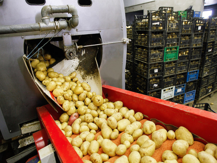 46 food processing projects operationalised in 2020: Govt | सरकारी डाटा ...