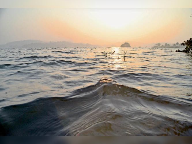 Northern wind, mercury 9 degrees, cold wave likely to continue till ...