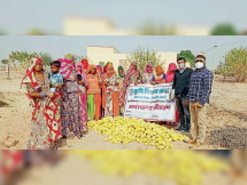Use of Tumba with medicinal properties in animal feed and medicine: Dr ...