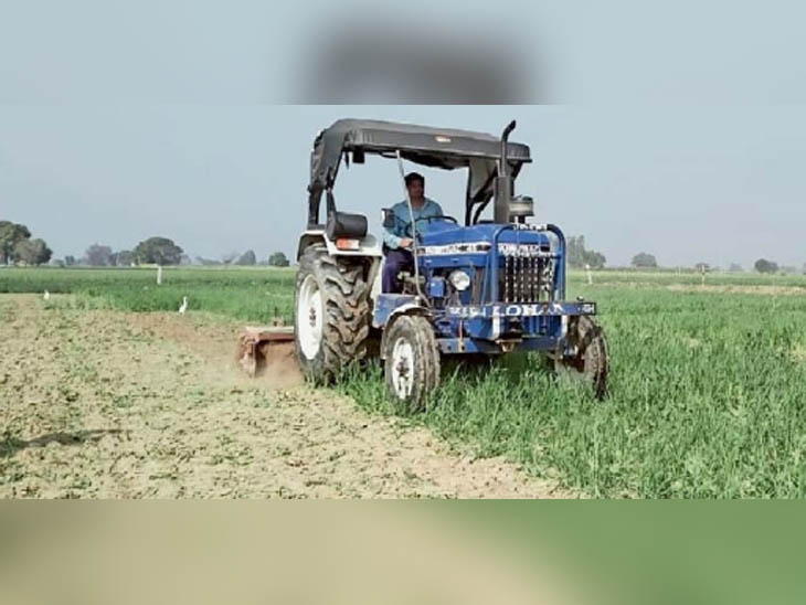 Jind, the disgusted farmer drove a tractor on the crop; Tikait said - I ...