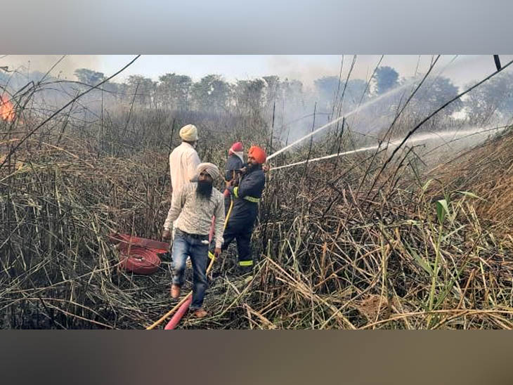 Tarn Taran, fire at the port bird bird Sanctuary while returning to the ...