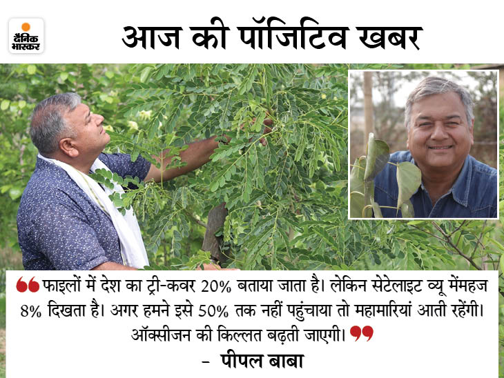 Oxygen Given By Peepal Tree (Coronavirus); Punjab Chandigarh Azad Jain ...