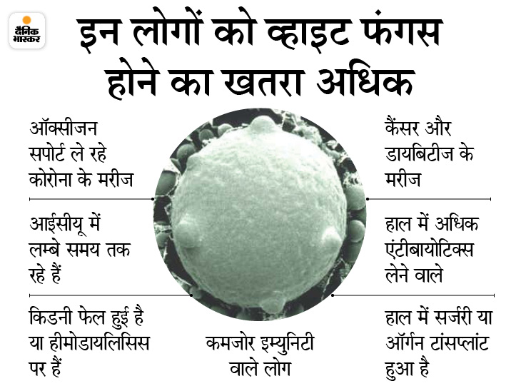 White Fungus Coronavirus Symptoms | White Fungus Infection Is More ...