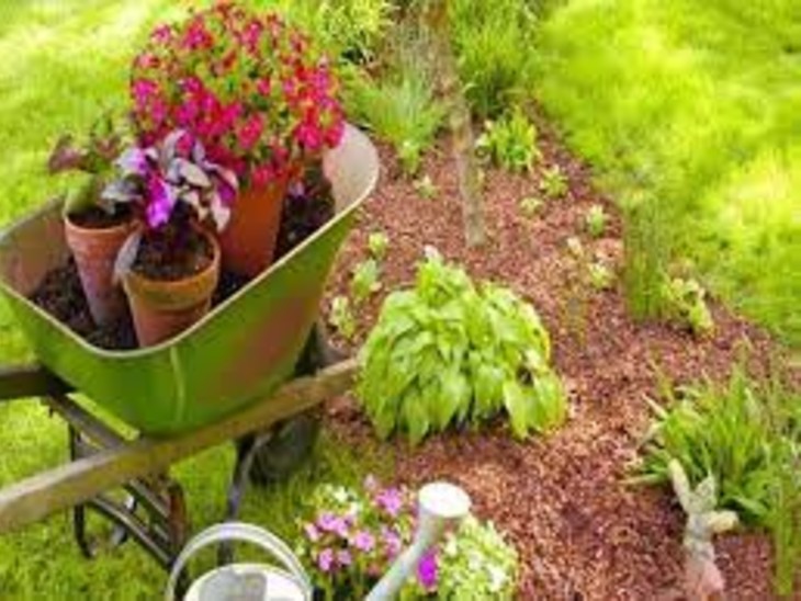 60829 planters affected by hail storm, loss of Rs 254 crore | बागवानी ...