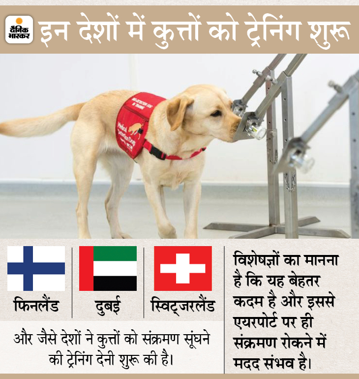 Coronavirus (COVID-19) RT-PCR Test Or Sniffer Dogs Detection; Which ...