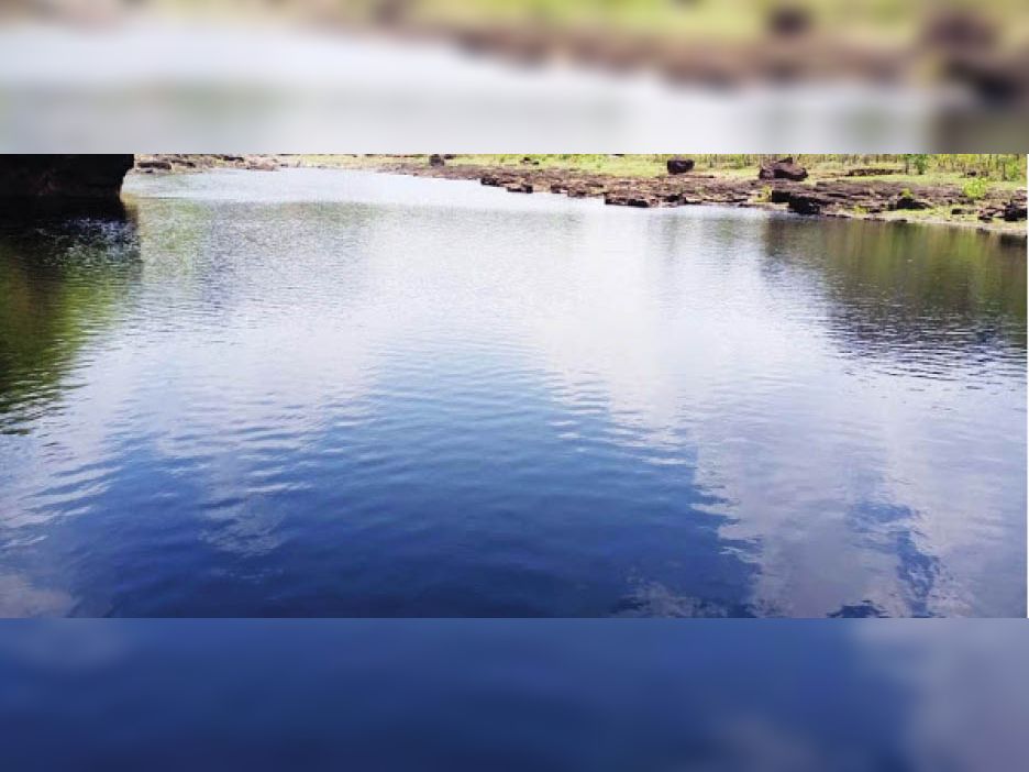 Chemical dumped from tanker in Ajnar river, fish and crabs died due to ...