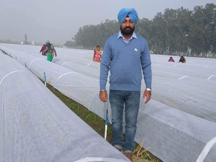 Harbir singh of Haryana Created a nursery of vegetables leaving ...