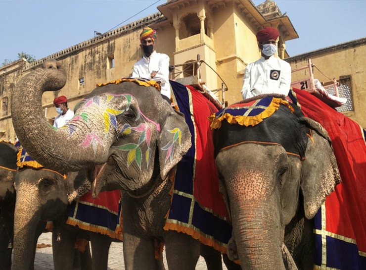 india's first elephant village in amer jaipur ground report effact of ...