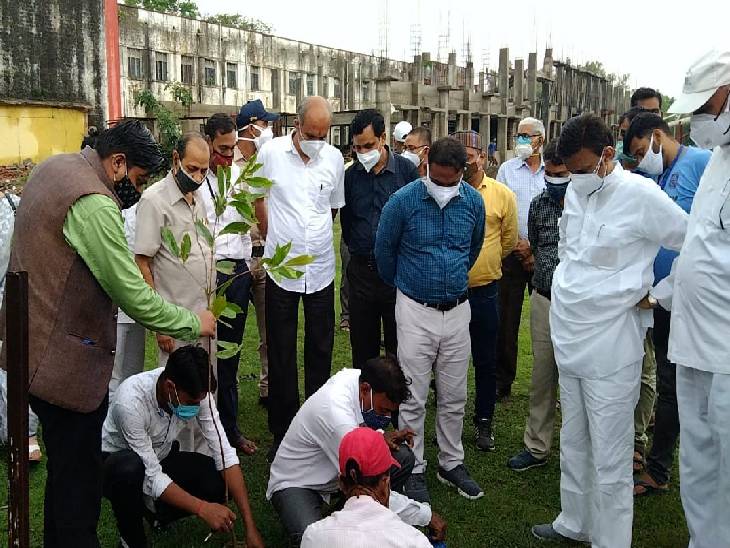 MLA planted saplings in Rewa's Model Science College, said - plantation ...