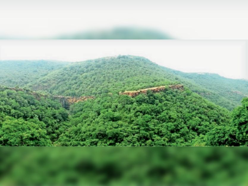 After Ranthambore, Sariska and Mukandra, Ramgarh Sanctuary now becomes ...