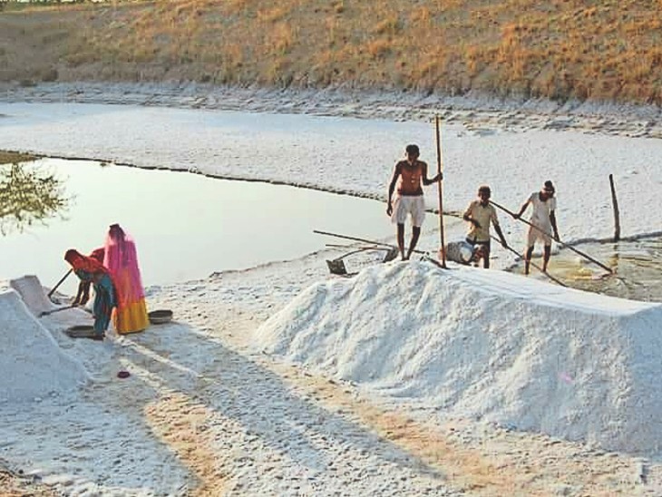 For 198 salt mines affected by the refinery, 841 bighas of land was ...