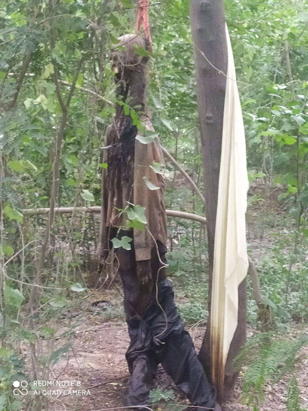 A rotten body was found hanging from the trees in the forest, the ...