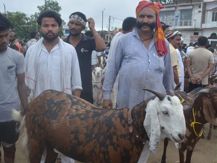 The Sultan of Rampur got the highest bid in the goats market, the bid ...