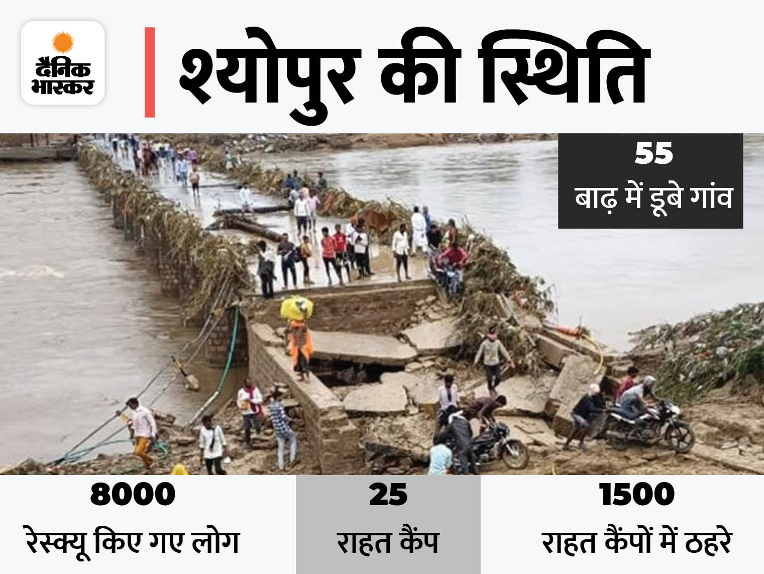 Relief in Shivpuri after Sindh water recedes, now full focus on Bhind ...