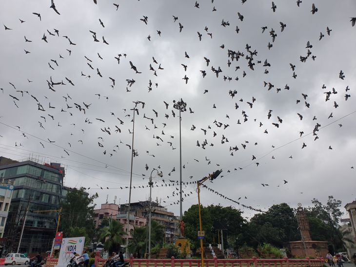 Heavy rain alert in 24 hours in many districts of Gwalior-Chambal ...