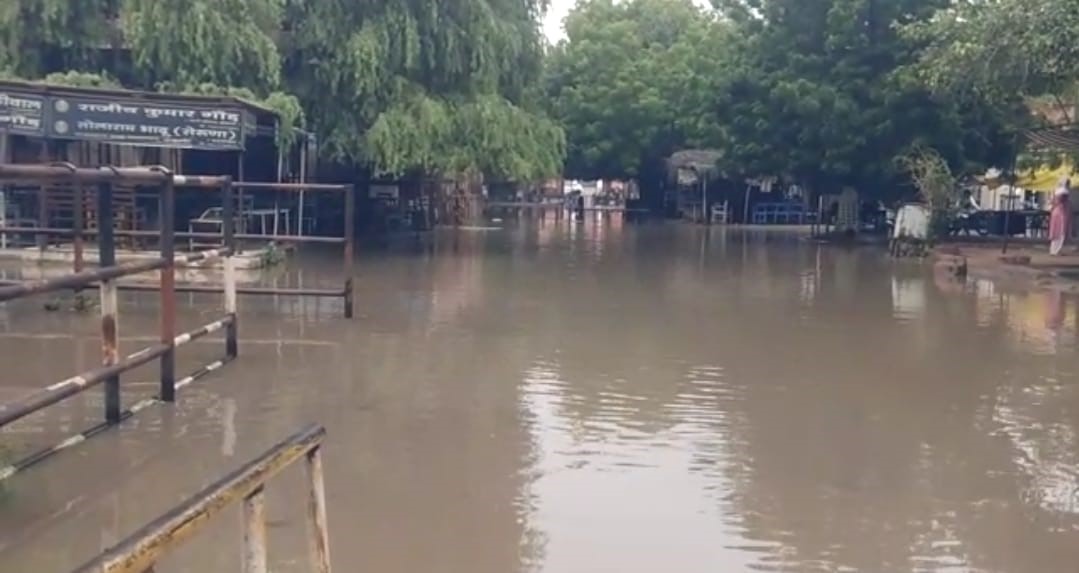 After the rain in Bikaner, the weather was pleasant, water filled the ...