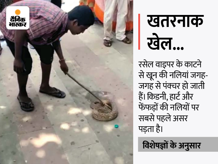 What the children caught in the Ganges as a python turned out to be the ...