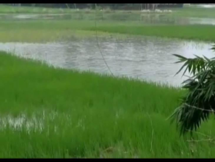 Azamgarh district Water filled in the fields due to canal cut
