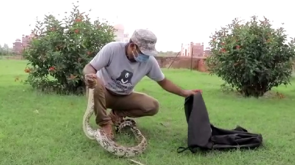 The tourists came in panic after seeing an eight foot snake in the side ...