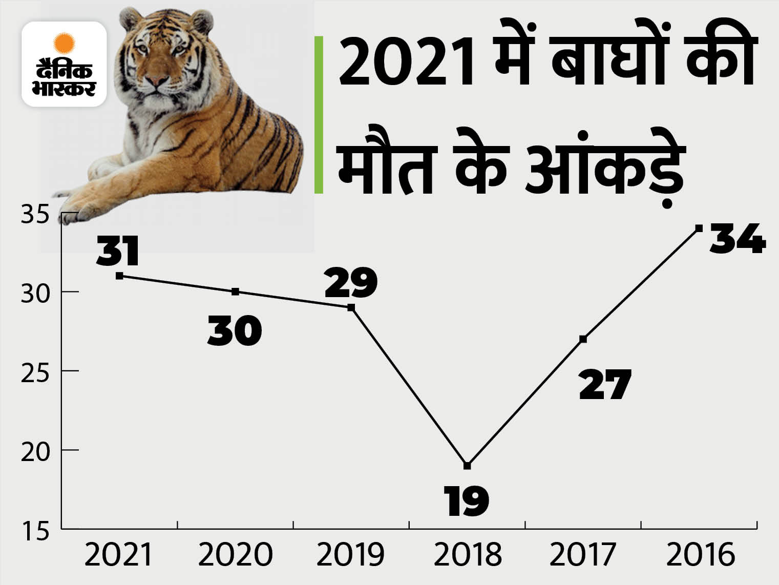 31 tigers died in 8 months in 'Tiger State' MP