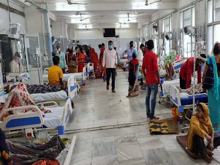 Dengue report of 36 patients came positive in Vindhya within two months | डेंगू का डंक: विंध्य ...