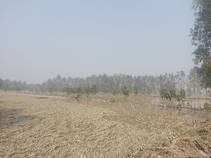 Highway opened in Moradabad, rail operation also back on track, 100 ...