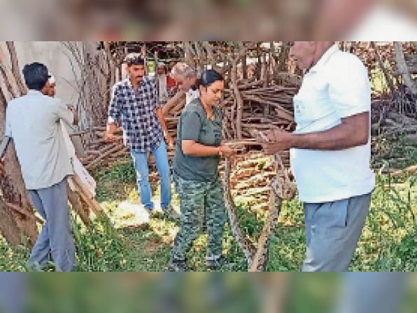 Captured python from Shivgarh-Naya Sanwada and left it safely in the ...